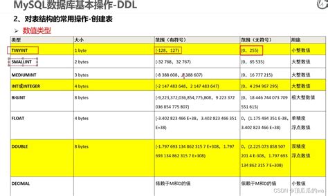 Day1mysql Ddl Csdn博客