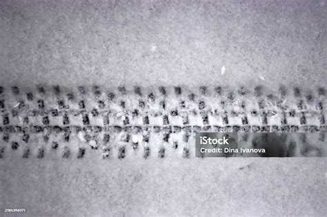 신선한 눈에 상세한 자전거 타이어 트레드 마크 자전거 트랙 패턴 겨울 환경에서 남겨진 질감 눈 위에 프린트된 모노크롬 타이어는