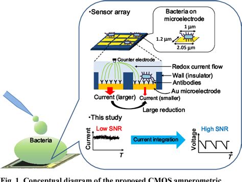 Figure 1 From Noise Immune Current Integration Based Cmos Amperometric