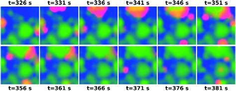 Spatial 3 State Neural Field Model Exhibits Self Organized Multi Scale Download Scientific