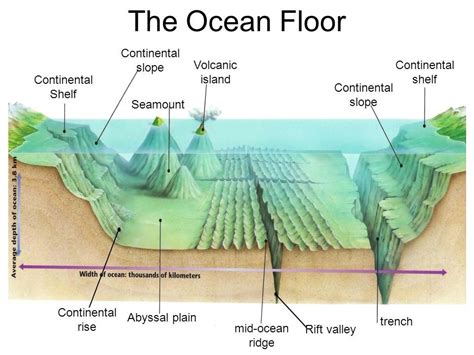 Underwater Trench Diagram