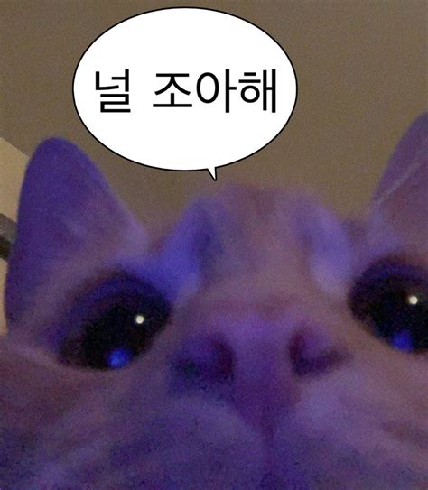 말풍선 짤에 있는 핀