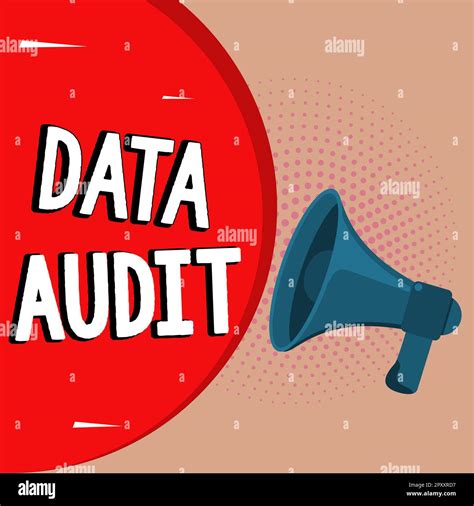 Conceptual Display Data Audit Business Overview Auditing Of Data To Conceptual Display Data Audit Business Overview Auditing Of Data To