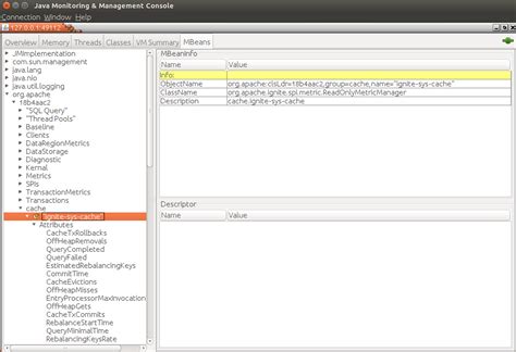 Jmx Exporter Can Not Collect Apache Ignite V280 Metrics · Issue