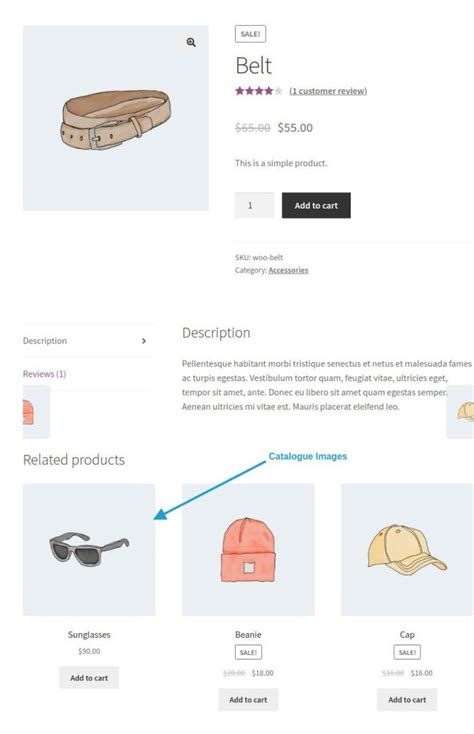 Types Of WooCommerce Issues How To Fix Them WP Swings