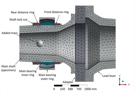 Detailed Cross Sectional View Of Fem Model Download Scientific Diagram