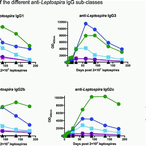 Determination Of Igg Subclasses Reveals Antigenic Diversity Between L