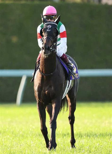 セレシオン長期離脱 元装蹄師の馬選び（一口馬主日誌）