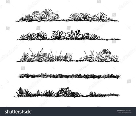 Grass Sketch Landscape Architecture Drawing Stock Vector Royalty Free 1875802921 Shutterstock