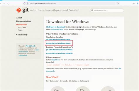 Windows Rust使用llvm Pass 知乎