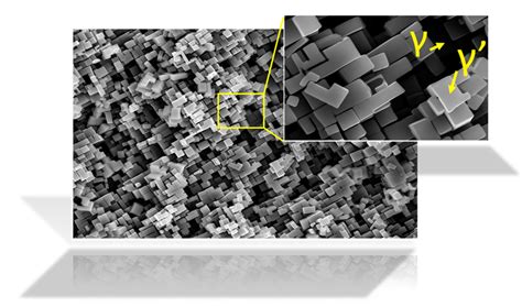 Ai Meets Alloy Design Discovering More New Cobalt Based Superalloys