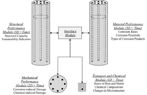 Multi Physical And Multi Scale Reinforced Concrete Deterioration