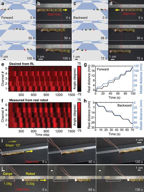 Simulation And Experimental Results Of Forward And Backward Locomotion Download Scientific