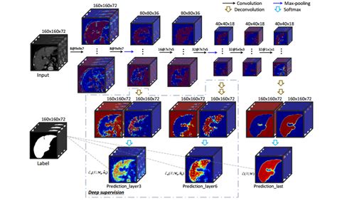 Xin Yang Shenzhen University