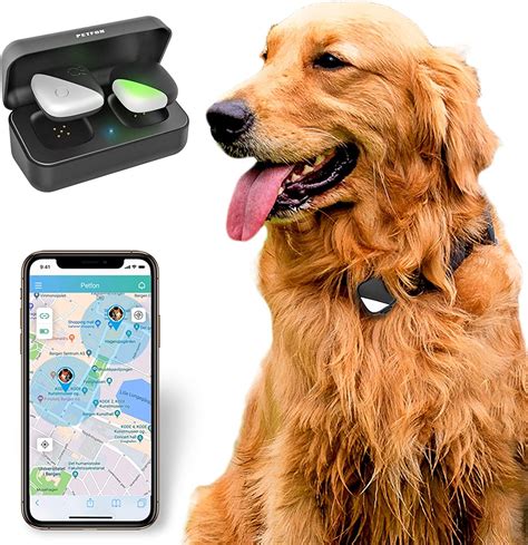 The 7 Best Pet Trackers and GPS Collars