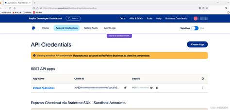 Java对接paypal（v2）图示paypal Java Refund 500 Csdn博客