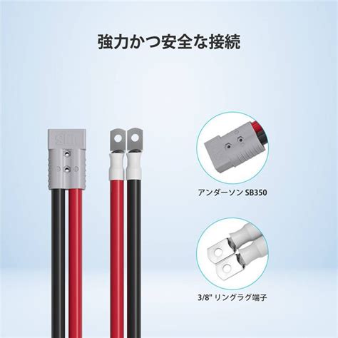 Regoシリーズ 12v 400ah リン酸鉄リチウムイオンバッテリー（専用アンダーソンケーブル付き）