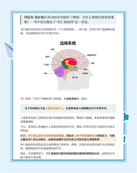 🌰杏仁核：情绪失控的幕后黑手