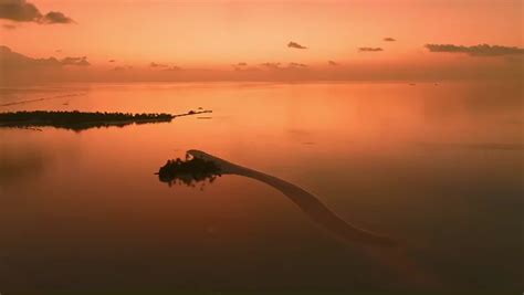 Eman Hasan On Linkedin Rihivelimaldivesresort