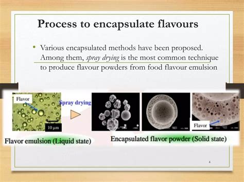 Flavor Encapsulation Assignment Pptx