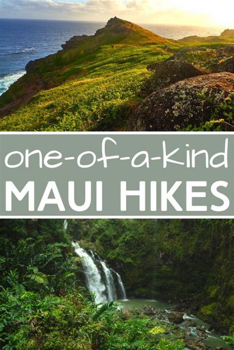 Best Hikes In Maui Waterfall Hikes Volcano Hikes And More Cosmopoliclan
