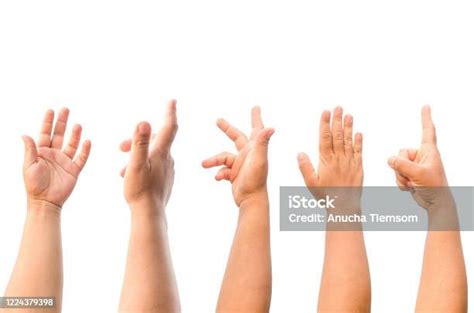 클리핑 경로와 흰색 배경에 고립 된 여성의 손 세트입니다 가리키기에 대한 스톡 사진 및 기타 이미지 가리키기 남성 다양 Istock