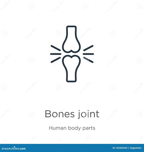 Bones Joint Icon Thin Linear Bones Joint Outline Icon Isolated On White Background From Human