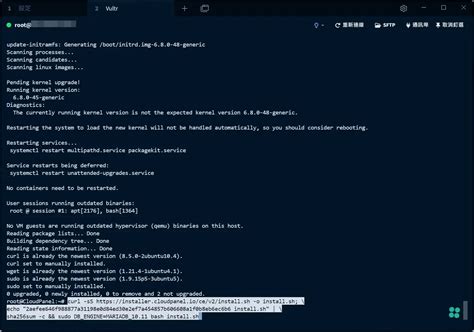 [vps][nginx]cloudpanel安裝篇