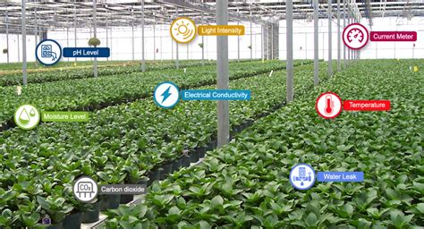Automated Greenhouse Monitoring Systems