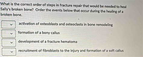 Solved What Is The Correct Order Of Steps In Fracture Repair That Would Be Needed To Heal Sally
