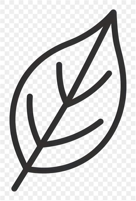 Branch Drawing PNG Images Free Photos PNG Stickers Wallpapers Backgrounds Rawpixel