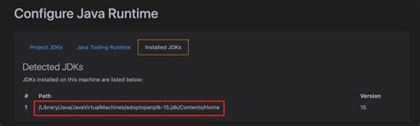 VSCode完美配置Java开发环境附官方英文翻译 哔哩哔哩