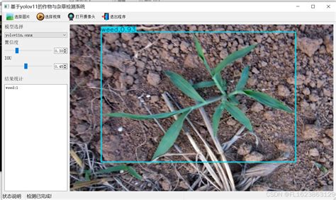 基于yolov11的作物与杂草检测系统python源码onnx模型评估指标曲线精美gui界面 腾讯云开发者社区 腾讯云