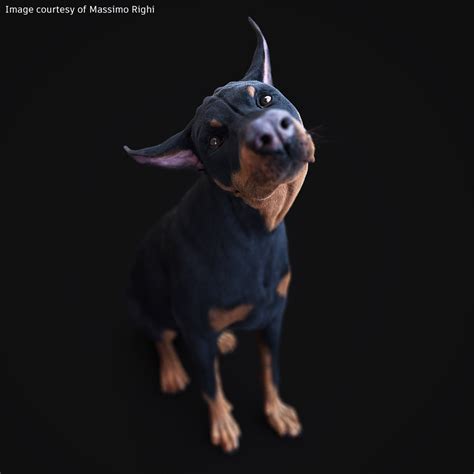 Autodesk Mudbox Software Get Prices Buy Official Mudbox