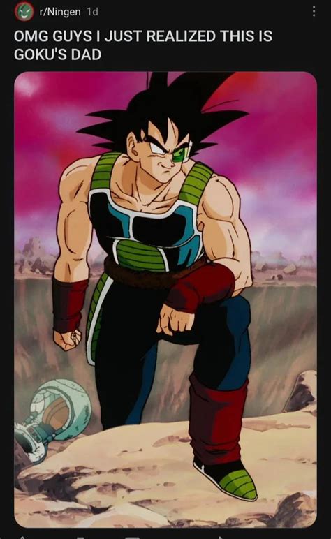 Just Because He Looks Like Goku Doesnt Mean Hes His Dad Rningen