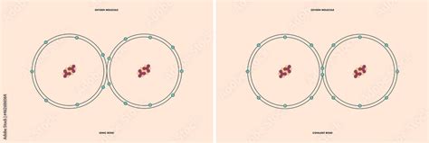 Conceptual Vector Representation Of A Oxygen Molecule Made Up Of Two Atoms And The Types Of