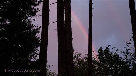 Trixie Loves Delia For DeliaTS TastyTrixie Fans Trixie Loves Delia For DeliaTS TastyTrixie Fans