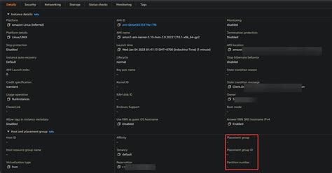 learn the ins and outs of aws placement groups