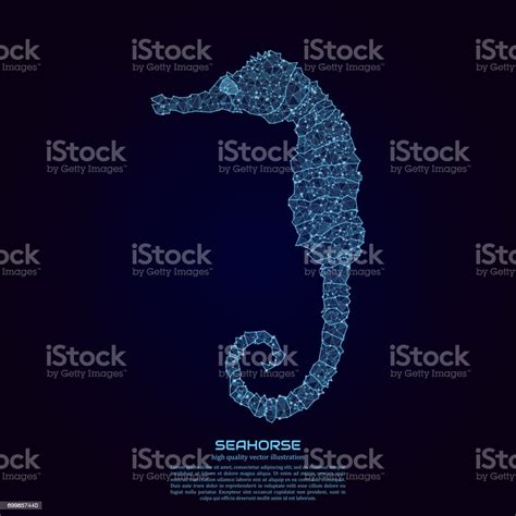 다각형 해 마입니다 포인트와 라인 구성입니다 비즈니스에 대 한 프로젝트 템플릿입니다 벡터 일러스트입니다 해마 열대어에 대한 스톡 벡터 아트 및 기타 이미지 Istock