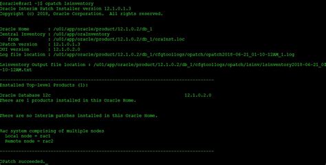 Step By Step Apply 12c Grid And Db April 2018 Psu To Oracle 12cr1 2 Node Rac Oracledbwr