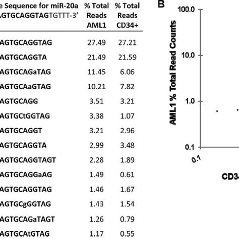 Isomir Pattern Analysis A Mir 20a Isomirs The Reference Sequence Download Scientific
