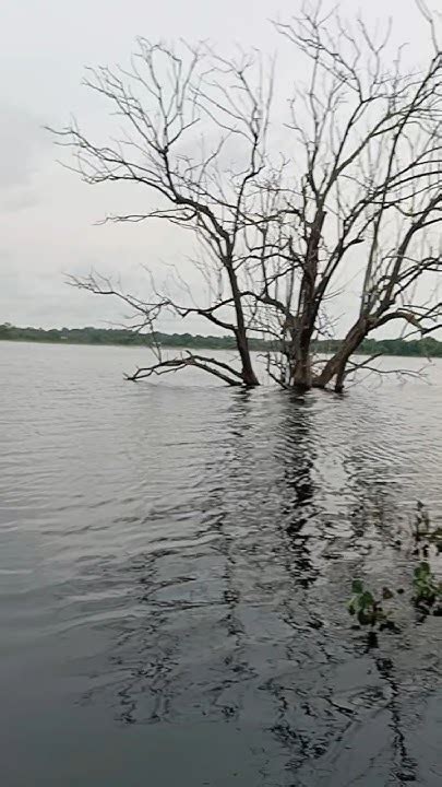 අප රටේ ඇති මෙවැනි වැව් රැක ගැනීම ශ්‍රී ලංකිකයින් වශයෙන් අපි සියලු