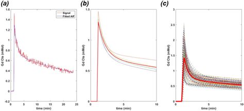 A The Bi Exponential Model Fit For One Of The Sampled Aif B The Download Scientific