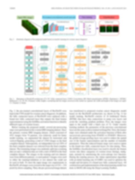 Solution Automated Ovarian Cancer Identification Using End To End Deep