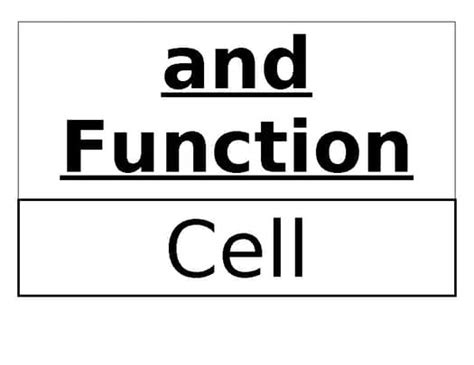 Word Wall Chapter 4 Cell Structure And Function By Abiologyteacher