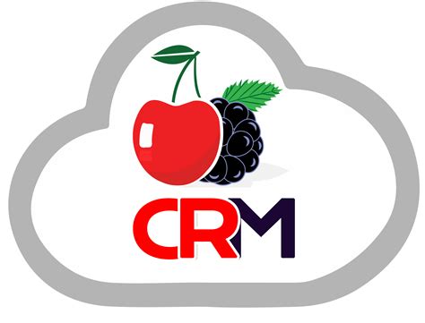 tech bridge consultancy web app and custom software development