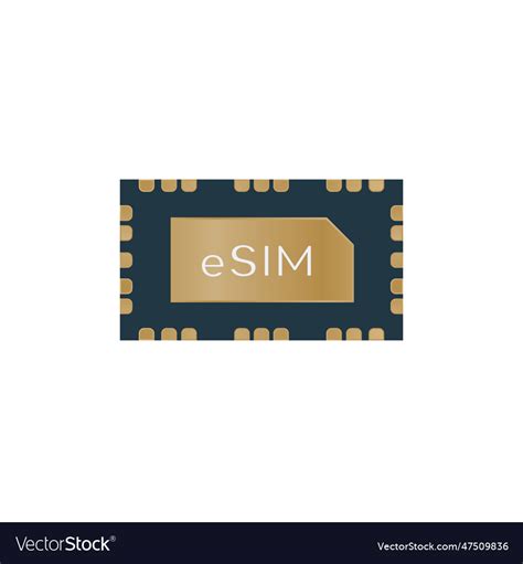 Embedded Sim Card Chip Royalty Free Vector Image