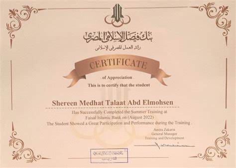 Shereen Medhat On Linkedin Internship2022 20 Comments