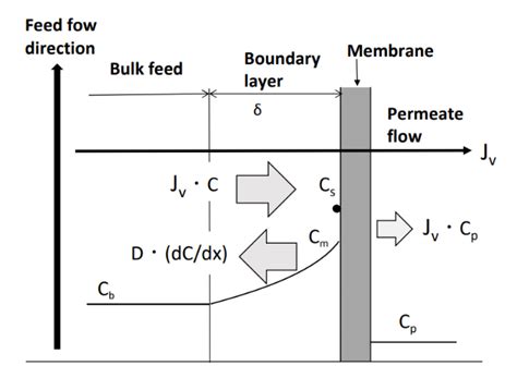 Concentration Polarization Phenomenon Jv Permeate Flux Jvc Download Scientific Diagram
