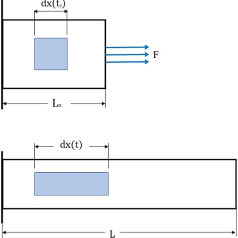 Simple Extension Experiment Adapted From 91 Download Scientific Diagram